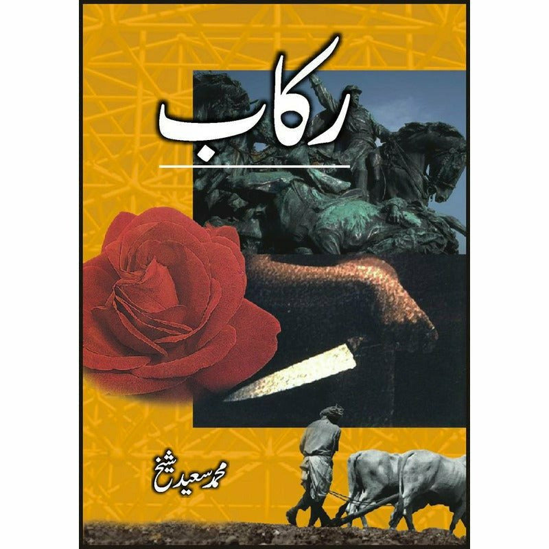 Rakaab – Nai soch